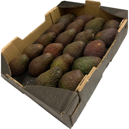 Wholesale Avocado Boxes 18 Per Box